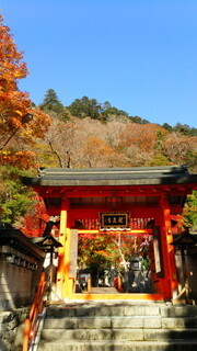 修験道の聖地、山上ケ岳を登る: POYOYONのなにわジレンマ